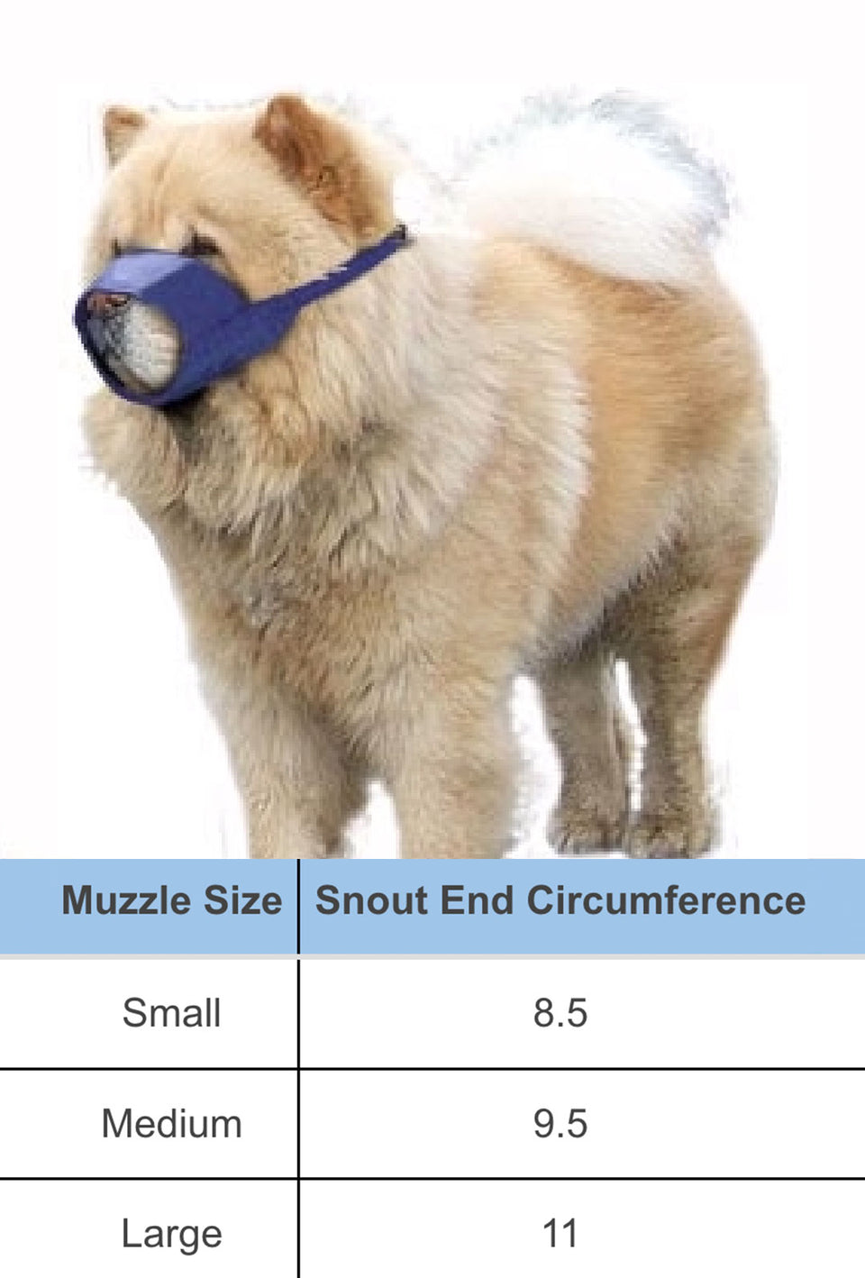 Sizing Guide – FourFlags.com