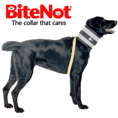 BN4 - Bite Not Collar (10-17lbs.) – FourFlags.com
